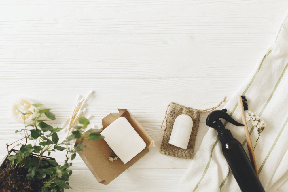 The History of House Cleaning | House Cleaning Services Cary NC